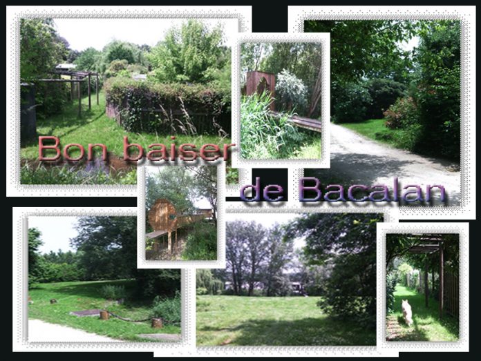 Le parc des Berges nord - Bacalan : Le Journal du quartier
