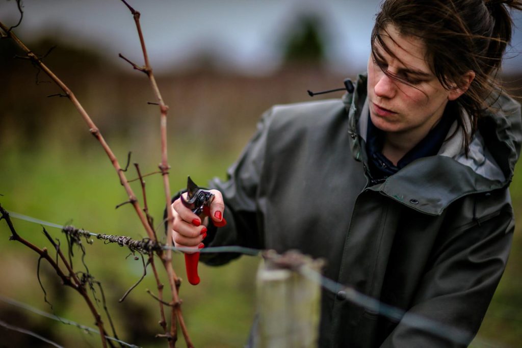 Les « Belles gueules de Bordeaux » - Bacalan : Le Journal du quartier